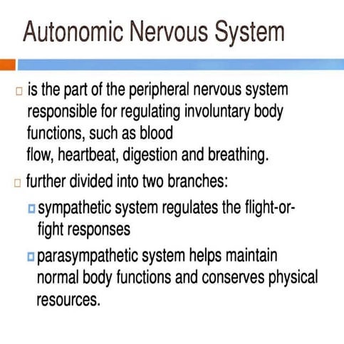 Autonomic nervous system | PPTX