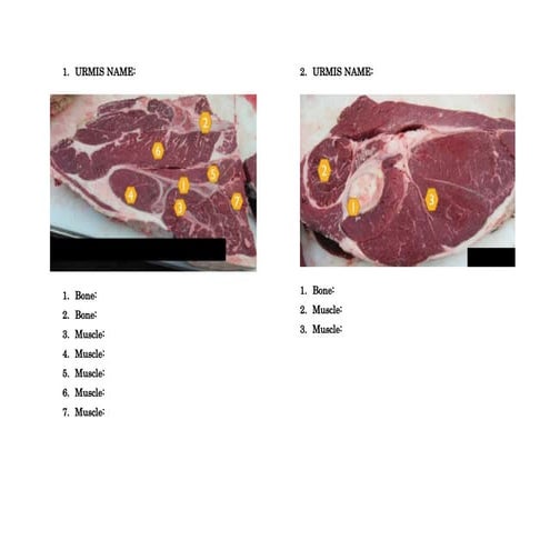 AN S 270 Master Document.docx