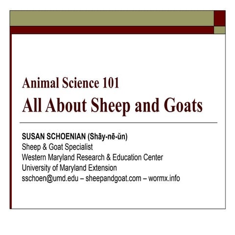 An overview of sheep and goats | PPT