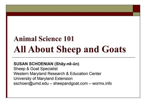 COMMON TERMS USED IN SHEEP AND GOAT | PDF