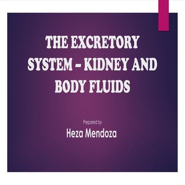 ANSCI POWERPOINT about the excretory system- kidney and body fluids of ...