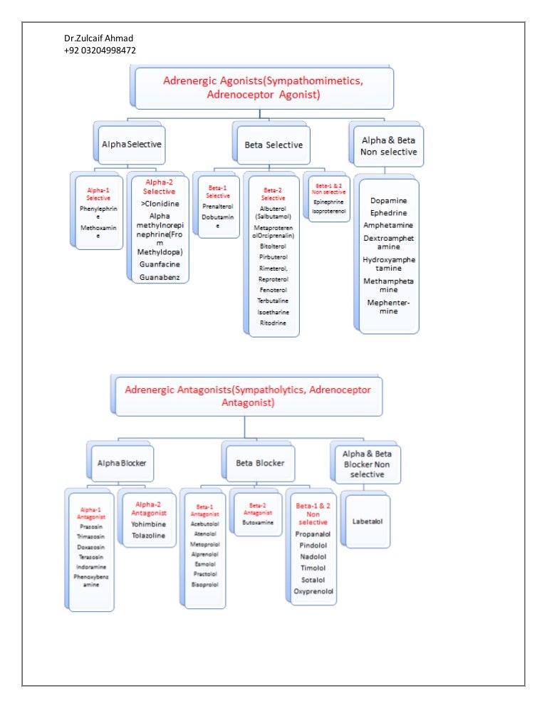 Autonomic Nervous System drugs classification