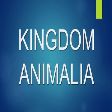 Ascidia - Zoology - exam point of view | PPTX