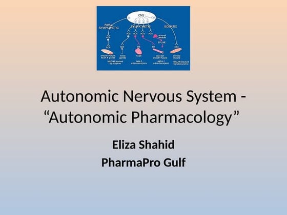 3 haines recovery position | PPTX | First Aid | Injuries