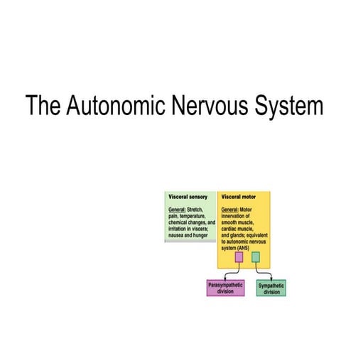 Autonomic nervous system | PPTX