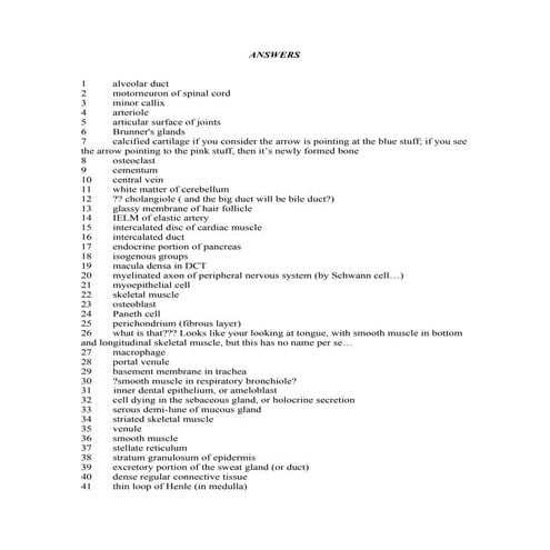 Answers Of Ppt | DOC