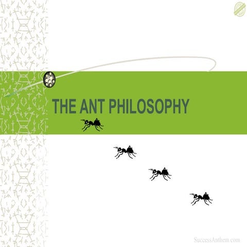 Ant | PDF