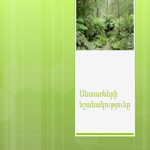 Antar | PPT
