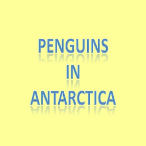 Antartica Penguins | PPS