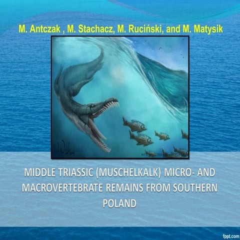 Middle Triassic (Muschelkalk) micro- and macrovertebrate remains from ...