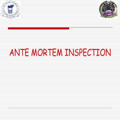 Ante-mortem-Examination edition.FOR UGppt | PPT