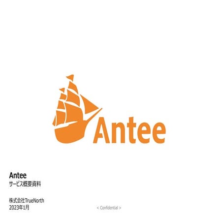 antee_description.pdf