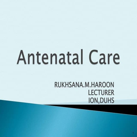 Midwifery Nursing Process - Antenatal.docx