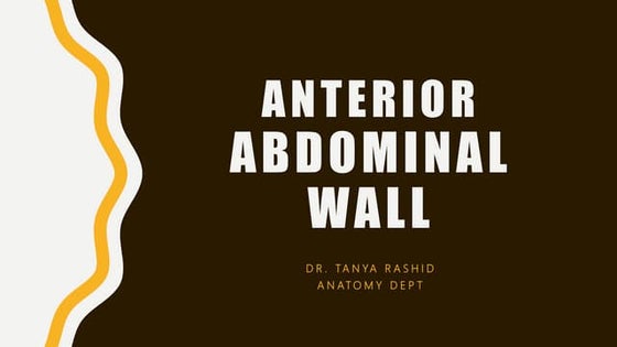 Abdominal wall anatomy and its clinical importance | PPT