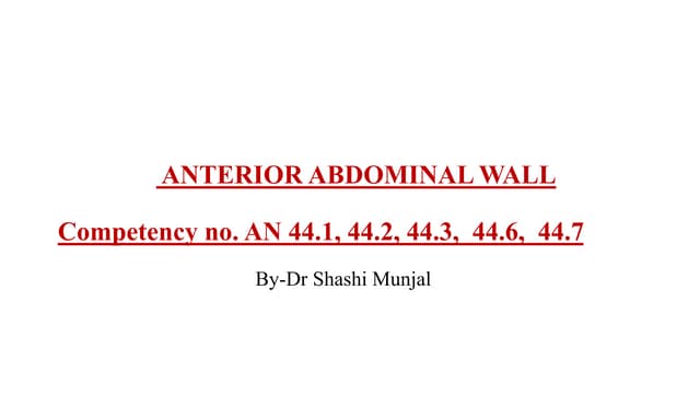 Anterior abdominal wall anatomy ppt | PPTX