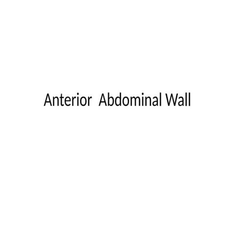 ANTERIOR ABDOMINAL WALL general anat.pptx