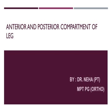 FASCIAL COMPARTMENTS OF THE LEG presentation | PPTX