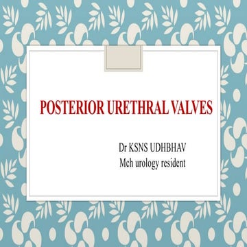 Anterior and Posterior Urethral Valves.pptx
