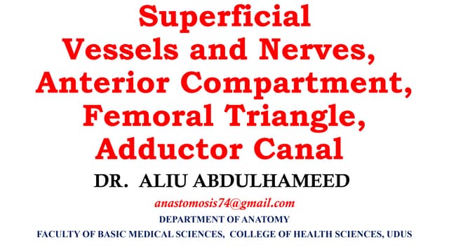 Femoral triangle. | PPTX