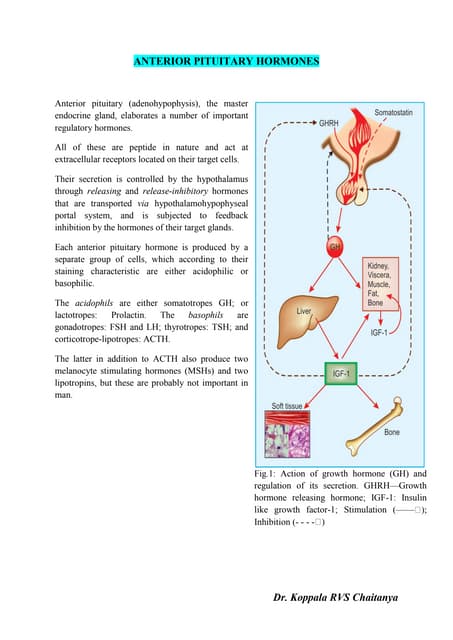 CARCINOGENICITY | PDF