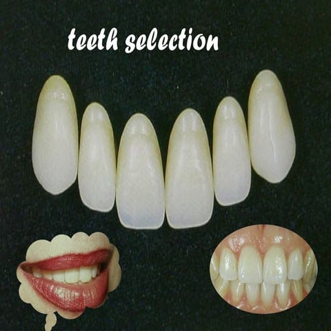 Anterior teeth selection.in complete denture | PPT