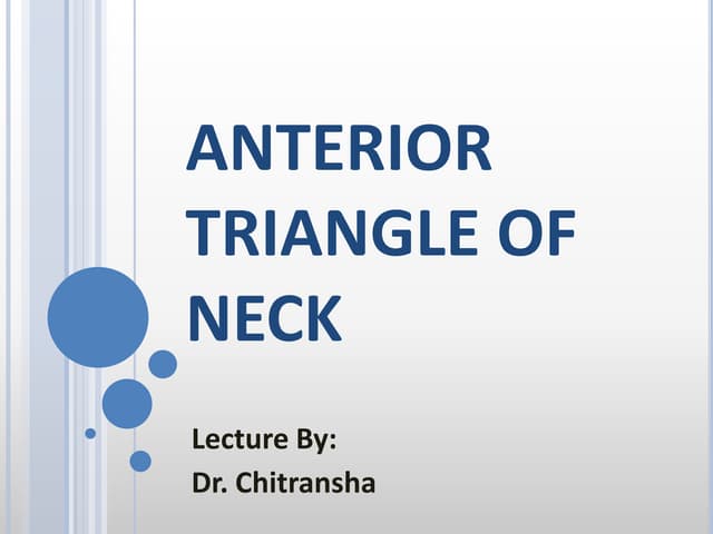Anterior triangle of the neck | PPT