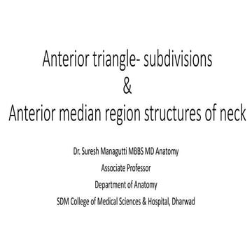 Anterior triangle- subdivisions & Anterior median region structures of ...