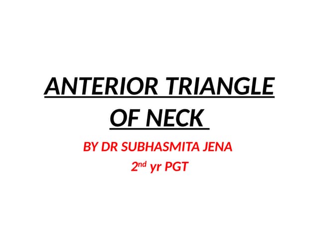 Anterior triangle of the neck | PPT
