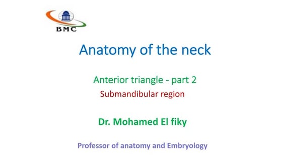anatomy of Urinary bladder | PPT