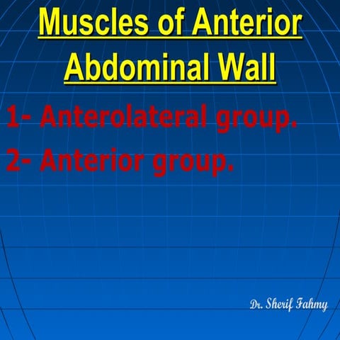 Antero-Lateral Abdominal Wall (Anatomy of the Abdomen) | PPS