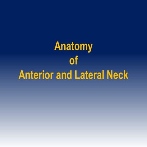 Submandibular Region (Anatomy of the Neck) | PPS