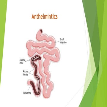Anthelmintics medicinal chemistry | PPTX