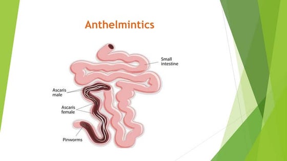 Anthelmintic Drugs | PPTX | Infectious Diseases | Diseases and Conditions