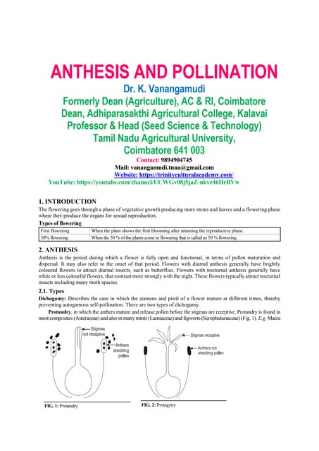 Pollination/class 12 biology | PPTX