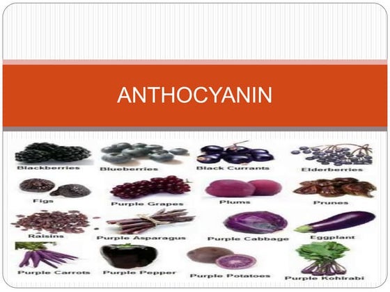 anthocyanin | PPT