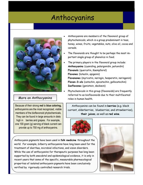 Anthocyanin | PPT