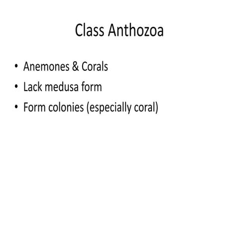 Anthozoa.pptx