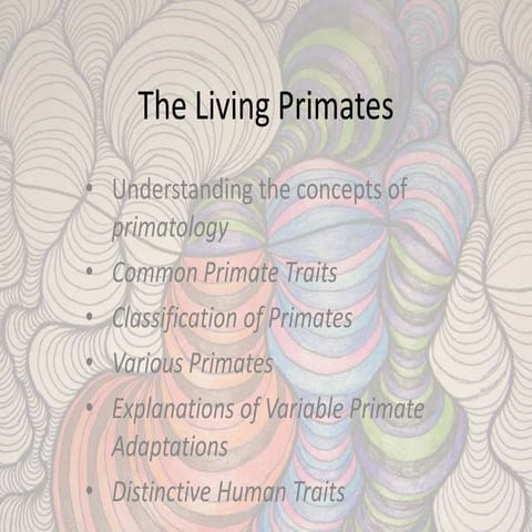 The Living Primates- Anthropology | PPTX