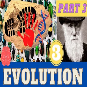 The Evolution of Insects: Part THREE [3] / Summary & Anthropocene - Bug ...