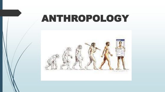 Anthropology | PPT