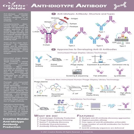 Anti-idiotype Antibody Production | PDF