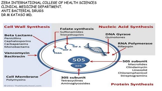 Generations of antibiotics | PPT