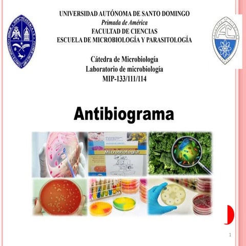 Antibiograma.ppt