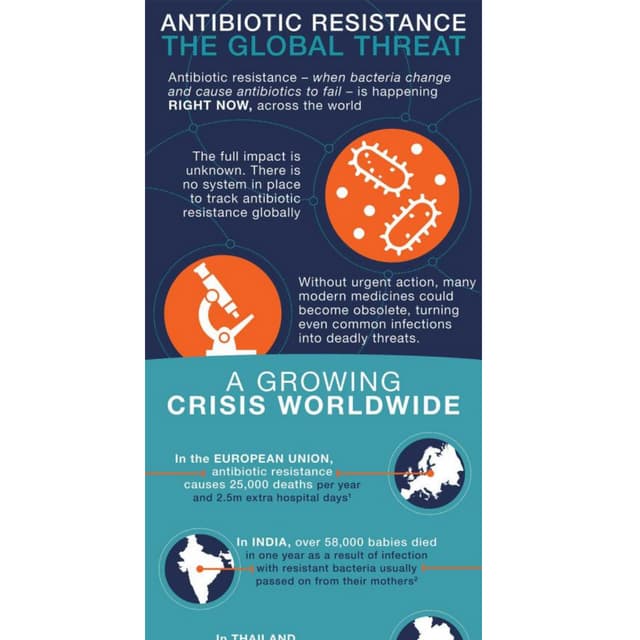 Antibiotic Resistance The Global Threat | PDF