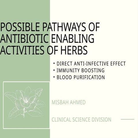 HERBAL ANTIBIOTIC ENABLING PATHWAYS.pptx
