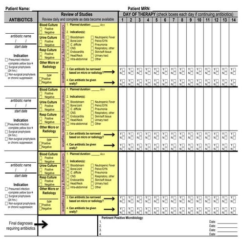 Antibiotic flowsheet (final) | PDF