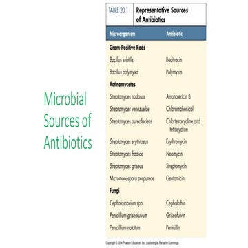 Antibiotic production | PPTX