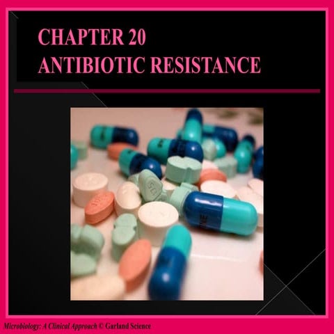 Antibiotic resistance | PPT