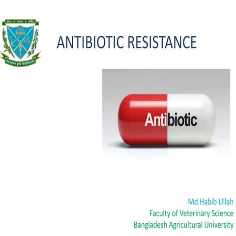 Antibiotic Resistance | PPT
