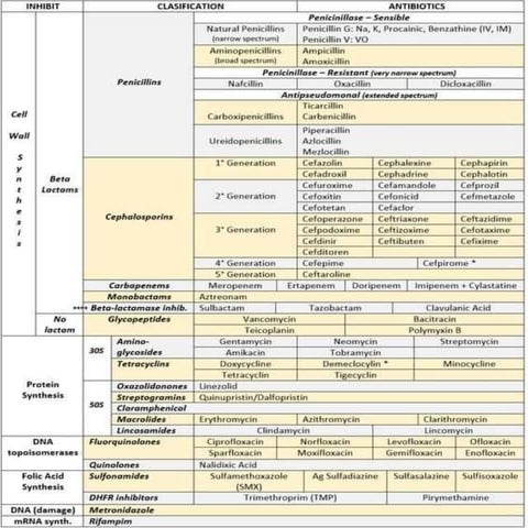 antibioticreview.ppt